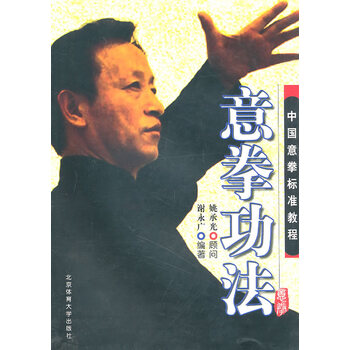中国意拳标准教程:意拳功法【正版图书】