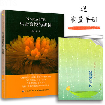 正版 （软精装）2017版 NAMASTE生命喜悦的祈祷 沈妙瑜著 轻工业 活出生命的喜悦 赠能量朗读手册 赠送能力朗读小册子！！！