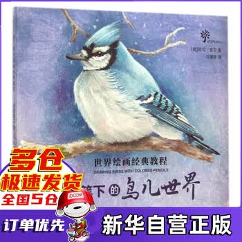色铅笔下的鸟儿世界(世界绘画经典教程)