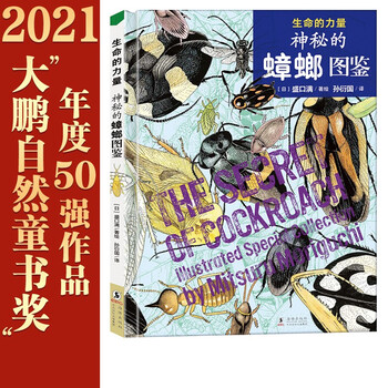 生命的力量：神秘的蟑螂图鉴 3-6岁（培养孩子对生物多样性的思考，对生命的敬畏。自然科学绘本大师、博物学家盛口满全新力作。附赠大幅精美导读。精装）丁虹绘本馆出品