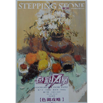 色彩风暴 调色攻略【正版图书】