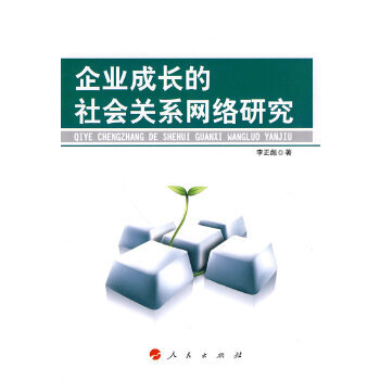 企业成长的社会关系网络研究【正版图书】