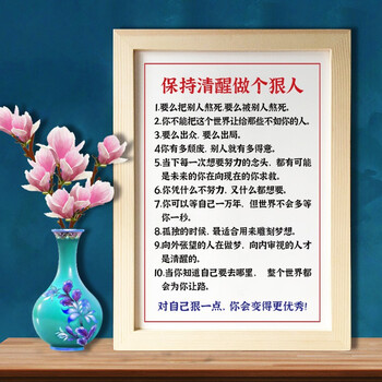每日反思 励志字画学生书房挂画励志进步礼物摆件书法座右铭实木相框挂墙画框UTK UTK96对自己狠点 保持清醒做个狠人 A3(挂墙专用)