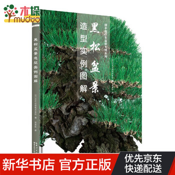黑松盆景造型实例图解(精)/绿手指日本盆景大师系列