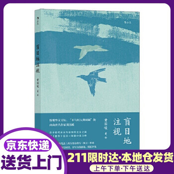 盲目地注视 黄国峻后浪 中国友谊出版公司