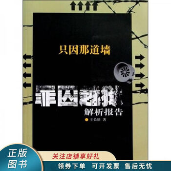 只因那道墙：罪囚越狱解析报告