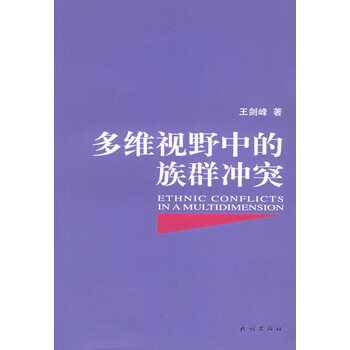 多维视野中的族群冲突【正版图书】