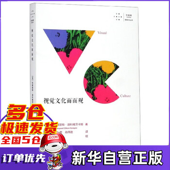 视觉文化面面观/拜德雅视觉文化丛书