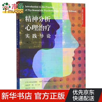 精神分析心理治疗实践导论(第2版)/精神分析经典著作译丛