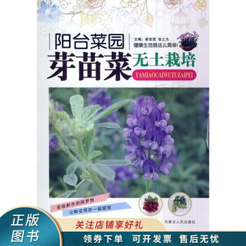 阳台菜园：芽苗菜无土栽培