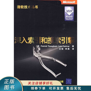 深入索引和搜索引擎微软技术丛书