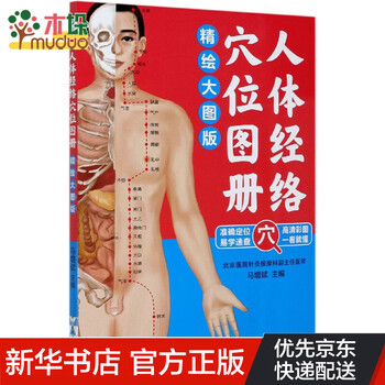 人体经络穴位图册(精绘大图版)