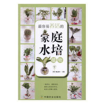 养活的家庭水培植物家居水培观赏园艺 图书