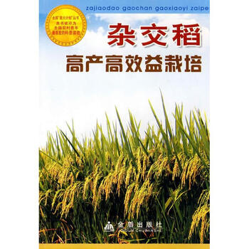 杂交稻高产高效益栽培