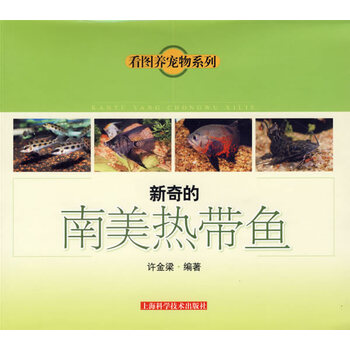新奇的南美热带鱼 许金梁 编著【正版书】