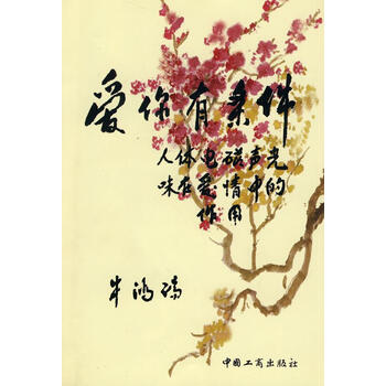 爱你有条件【正版图书】