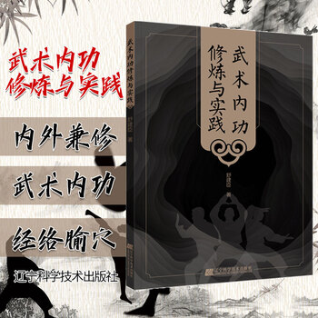 武术内功修炼与实践 中华武术概论 武术内功概论 武举和套路的形成期 武术的核心 舒建臣主编 9787