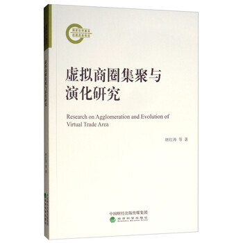 虚拟商圈集聚与演化研究