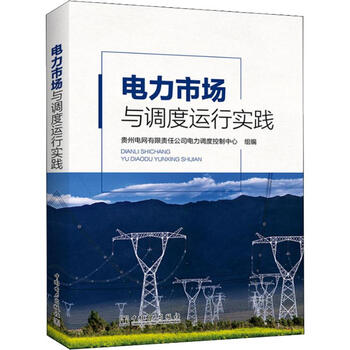 电力市场与调度运行实践