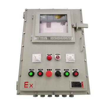 新黎明防爆控制箱国标BXM/XBK防爆电源配电箱IIB 定做开关控制柜 BXM(D)-4回路16A-带总开【图片 价格 品牌 报价】-京东