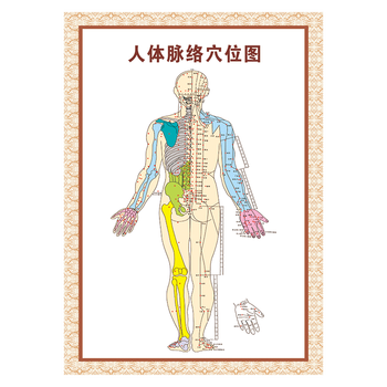 中医宣传画挂图中药配伍禁忌歌十八反十九畏歌脊柱图墙贴画WSA WSA36 人体脉络穴位图 60*40厘米 覆膜防水PP贴纸