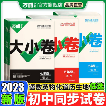2023万唯大小卷初中七八九年级语文数学英语物理化学道法历史上册下册单元同步试卷训练期中期末模拟复习基础题人教版万维教育 七年级下 【数学】人教版