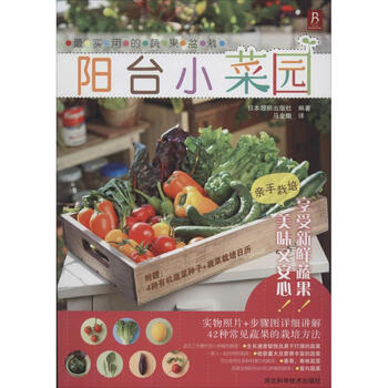 阳台小菜园