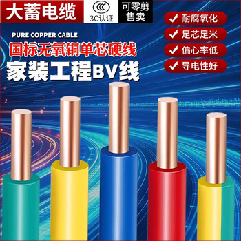国标线BV电线家用家装电缆1.5/2.5/4/6/10/16平方单股铜芯硬线单心ZR-BV电源线阻燃 白色BV（国标铜芯阻燃） 16平方毫米（10米）【图片 价格 品牌 报价】-京东