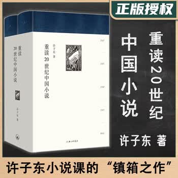 理想国 重读20世纪中国小说 重读二十世纪中国小说 许子东 著 总结性学术著作 中国当代文学史正版