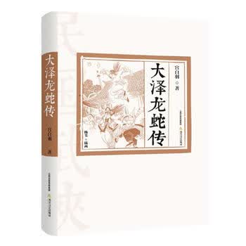 大泽龙蛇传 小说 宫白羽著 北岳文艺出版社 9787537857277