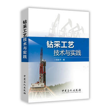 钻采工艺技术与实践 刘延平