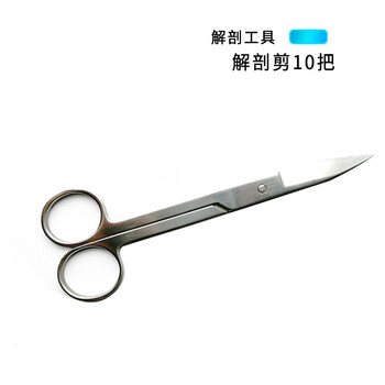 生物解剖器7件七件套 4件四件套 不锈钢解剖剪解剖针 生物实验器材工具套装标本制作探针剪刀镊子实验室  解剖剪