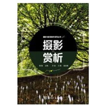 摄影赏析(陈勤)