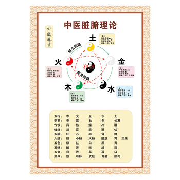 中医宣传画挂图中药配伍禁忌歌十八反十九畏歌脊柱图墙贴画WSA WSA35 中医脏腑理论 70*50厘米 覆膜防水PP贴纸
