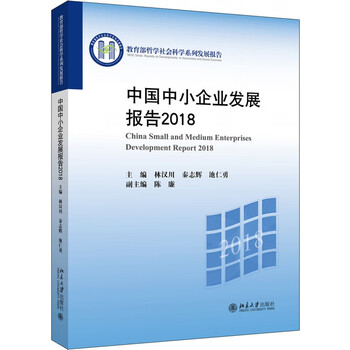 中国中小企业发展报告
