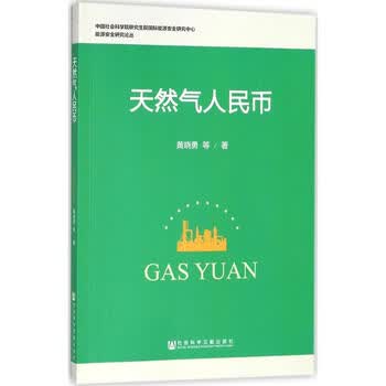 天然气人民币黄晓勇 等 著 