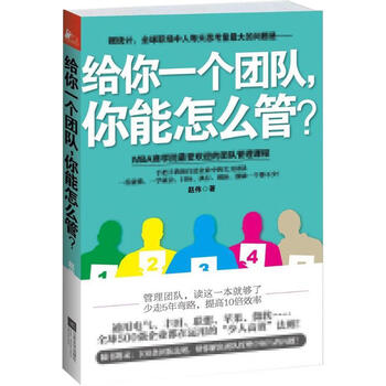 给你一个团队,你能怎么管?赵伟 著 