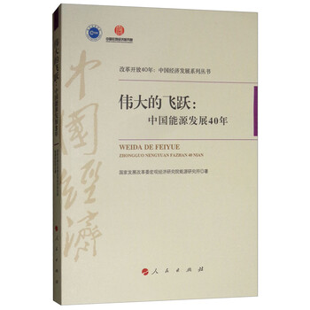 伟大的飞跃：中国能源发展40年/改革开放40年：中国经济发展系列丛书