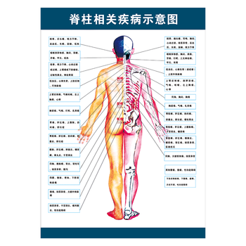 中医宣传画挂图中药配伍禁忌歌十八反十九畏歌脊柱图墙贴画WSA WSA37 脊柱相关疾病示意图 120*80厘米 覆膜防水PP贴纸