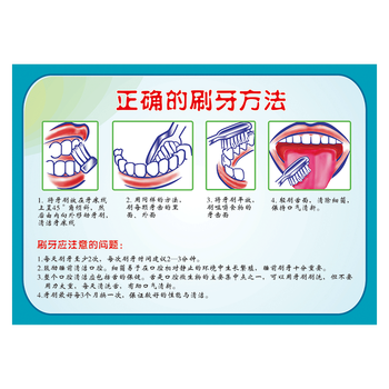 标准洗手方法步骤图标示贴宣传画挂图专业7步洗手法七步洗手法防水贴纸TXH TXH18 刷牙方法 40*30厘米 覆膜防水PP贴纸