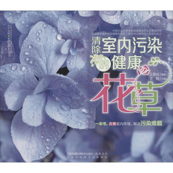 清除室内污染的健康花草