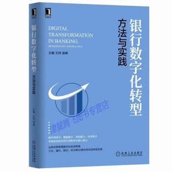 银行数字化转型：方法与实践 王炜 高峰 机械工业出版社