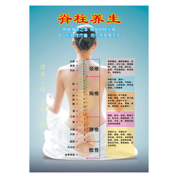 中医宣传画挂图中药配伍禁忌歌十八反十九畏歌脊柱图墙贴画WSA WSA38 脊柱养生 100*70厘米 覆膜防水PP贴纸