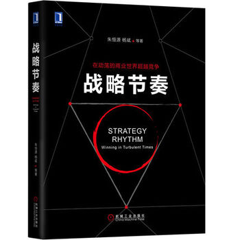 战略节奏 机械工业出版社 朱恒源 杨斌