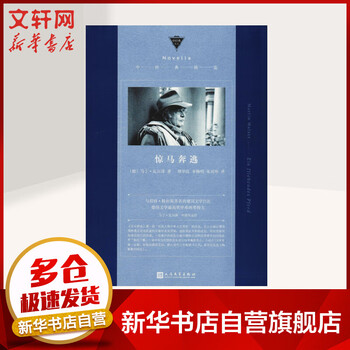 惊马奔逃 马丁·瓦尔泽