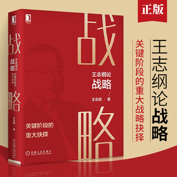 王志纲论战略 关键阶段的重大抉择 王志刚战略书籍企业管理战略地图 认知战略分析战略制定战略实践教你制