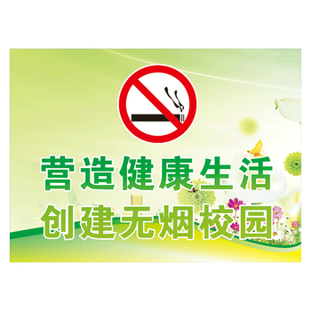 禁烟公益广告文化宣传画挂图标语海报禁止吸烟您已进入无烟场所控烟招贴画覆膜防水贴纸TYH TYH33 无烟校园宣传画 120*80厘米 覆膜防水PP贴纸