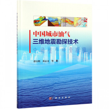 中国城市油气三维地震勘探技术(精)