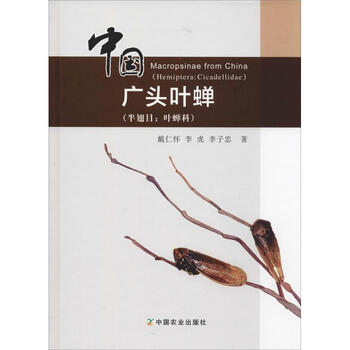 中国广头叶蝉(半翅目:叶蝉科)