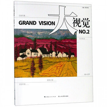 大视觉(NO.2)